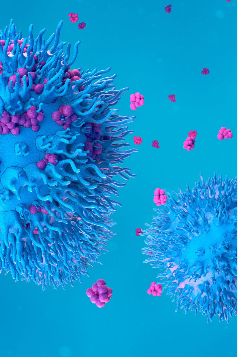 The Importance Of Protein For Bone Protection – Madeline Cary